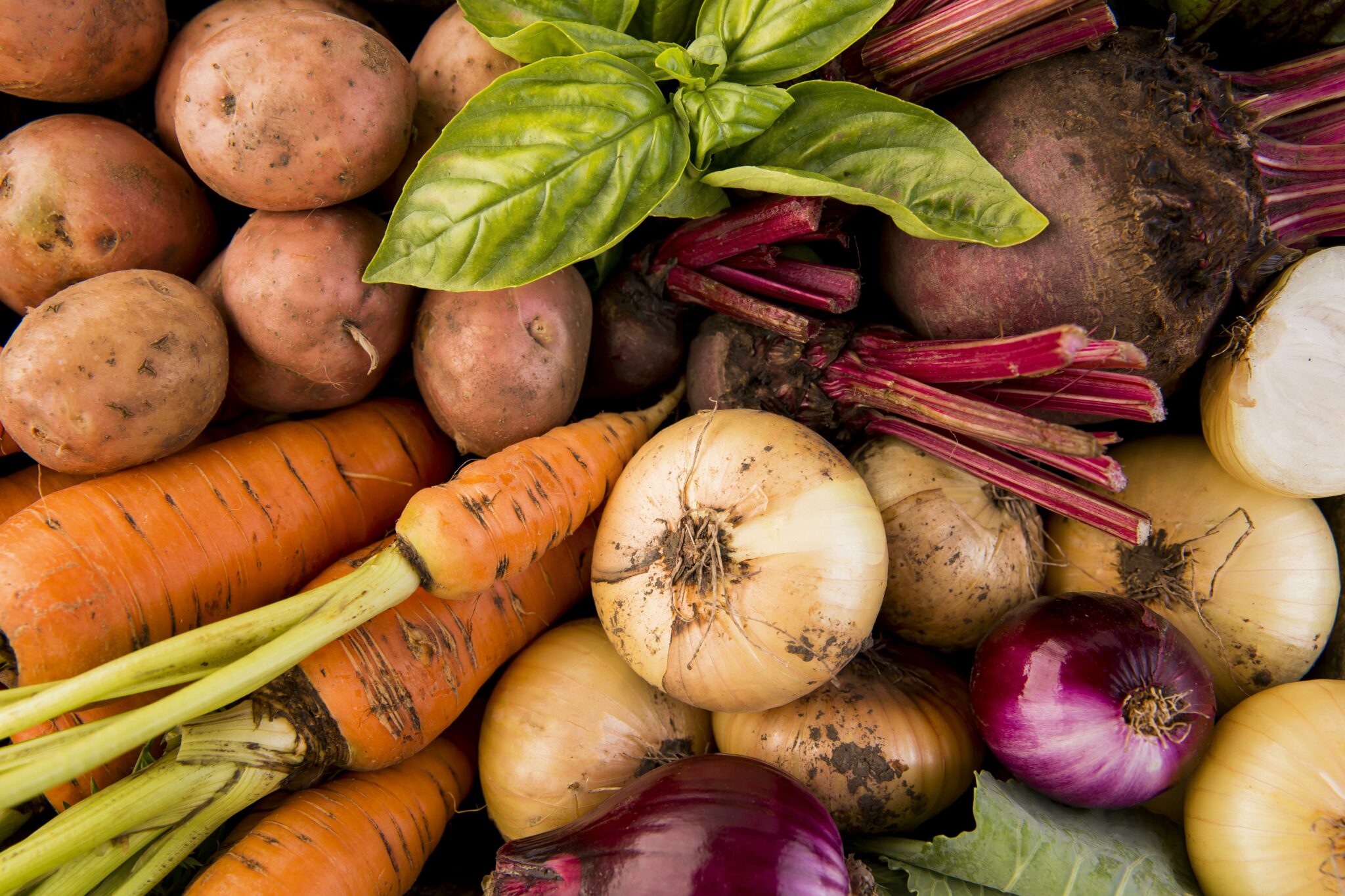 Légumes riches en calcium : top 10 pour des os solides. - Le Bien-Être ...