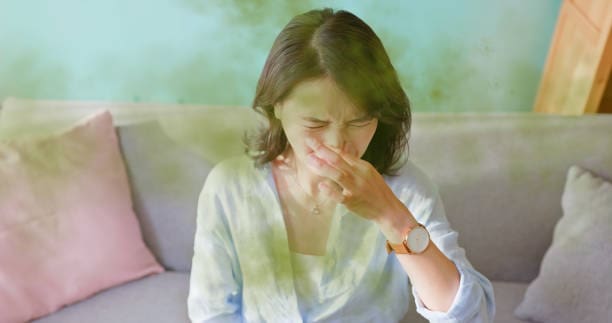 Gaz malodorants : causes digestives et solutions efficaces. - Le Bien ...